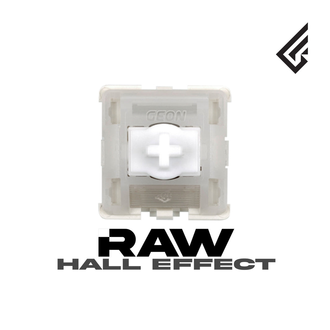 Raw switches – GEONWORKS