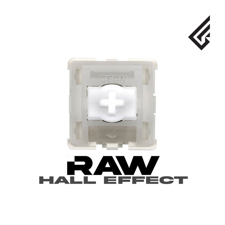 Raw switches – GEONWORKS