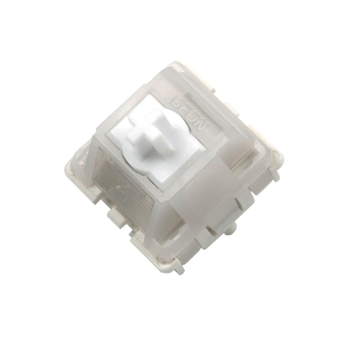Raw switches – GEONWORKS
