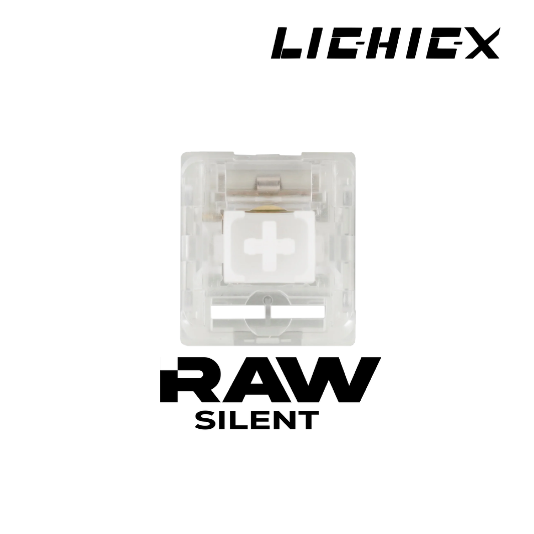 Raw switches – GEONWORKS