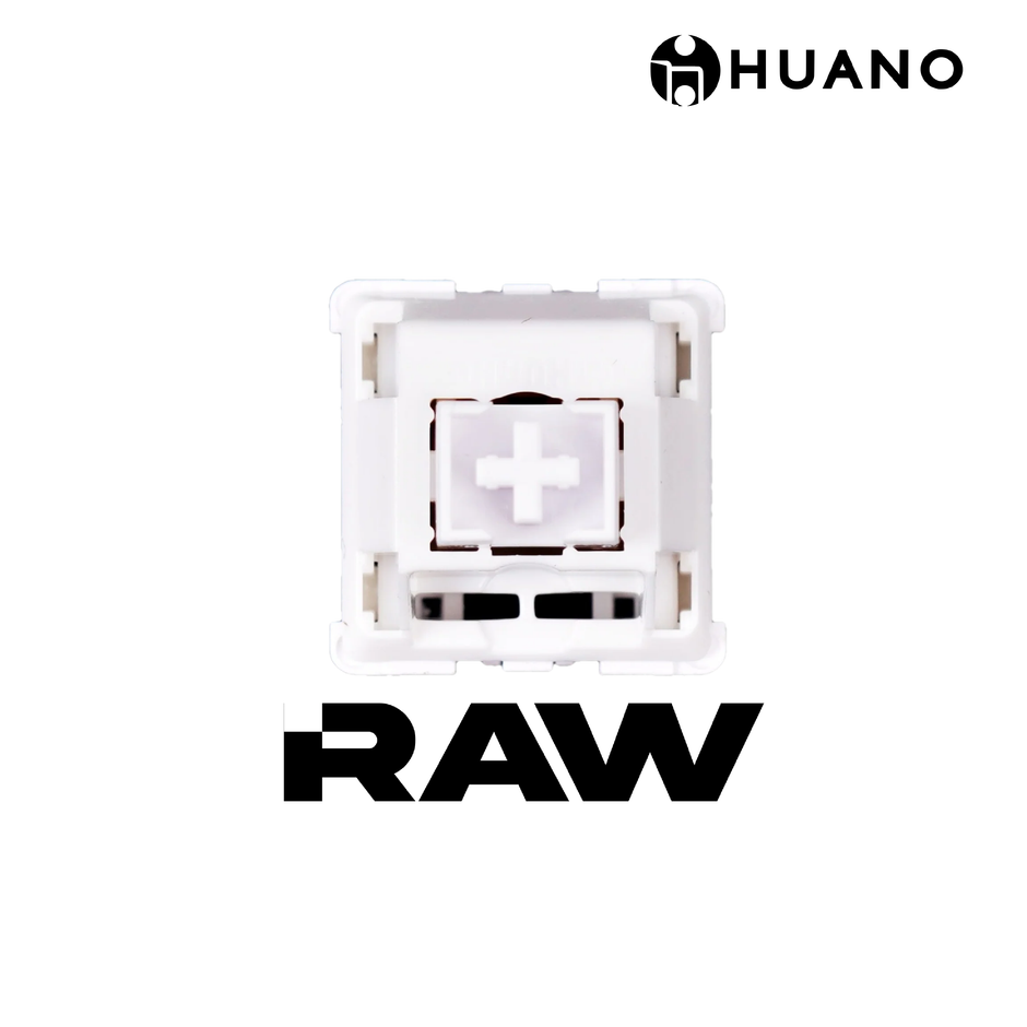 Raw switches – GEONWORKS