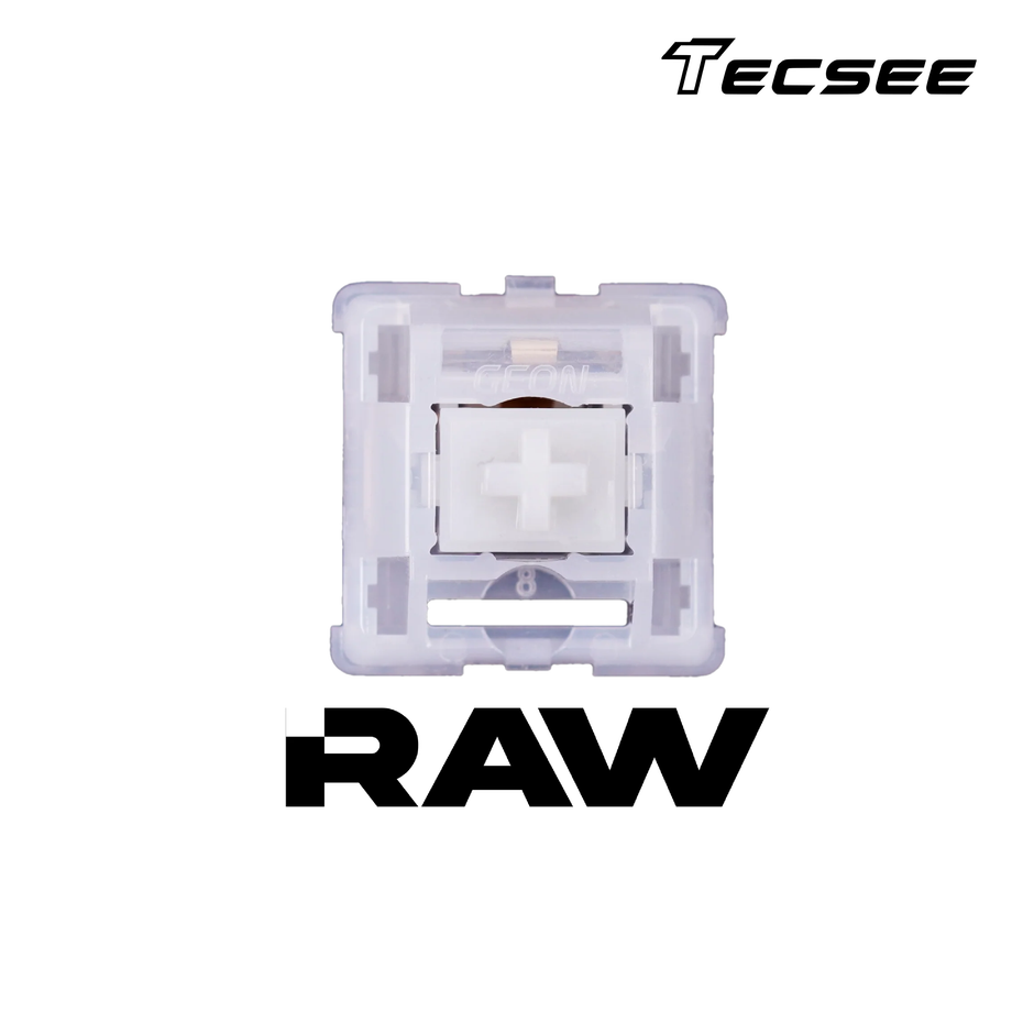 Raw switches – GEONWORKS