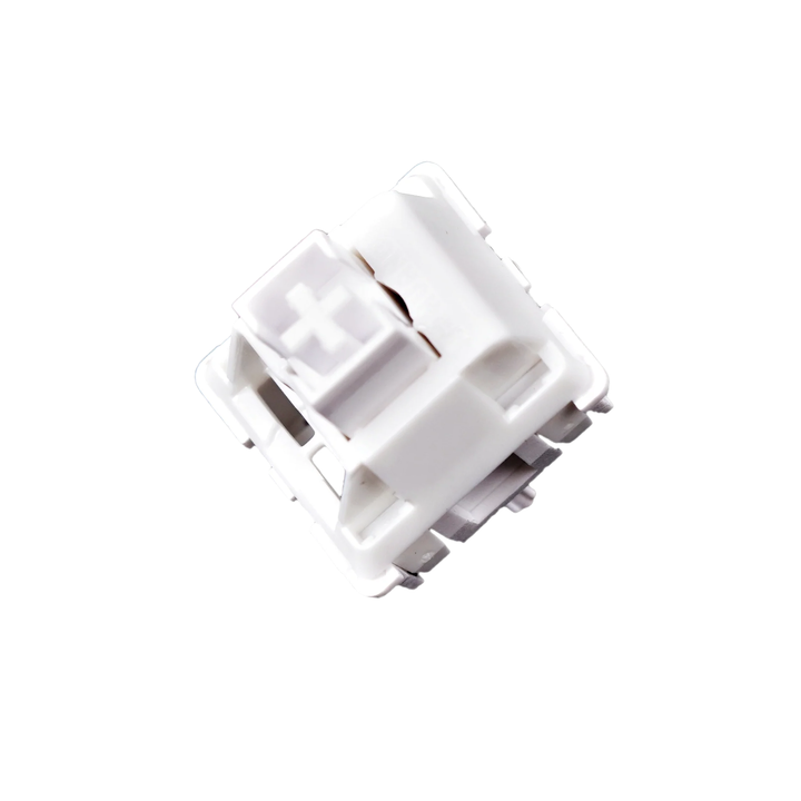 Raw switches – GEONWORKS