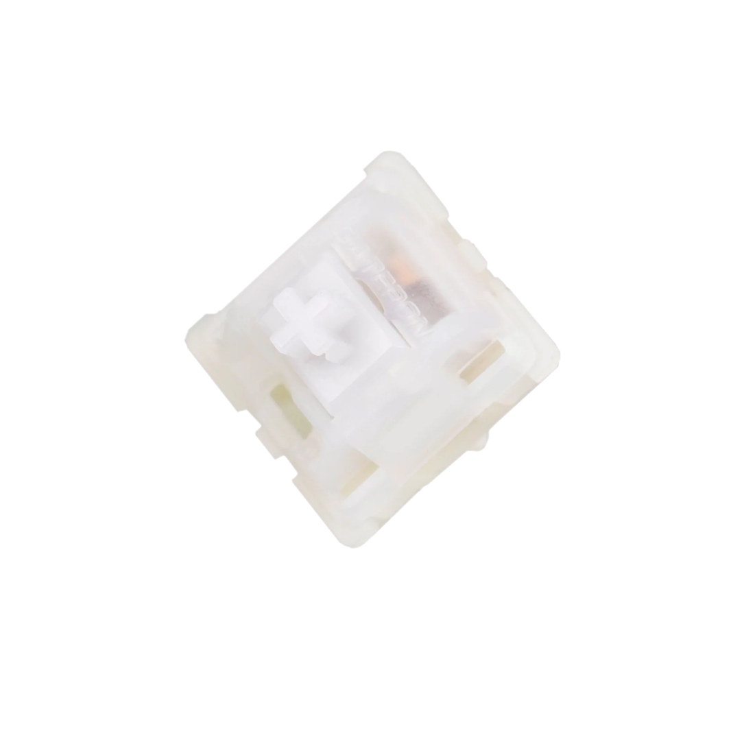 Raw switches – GEONWORKS