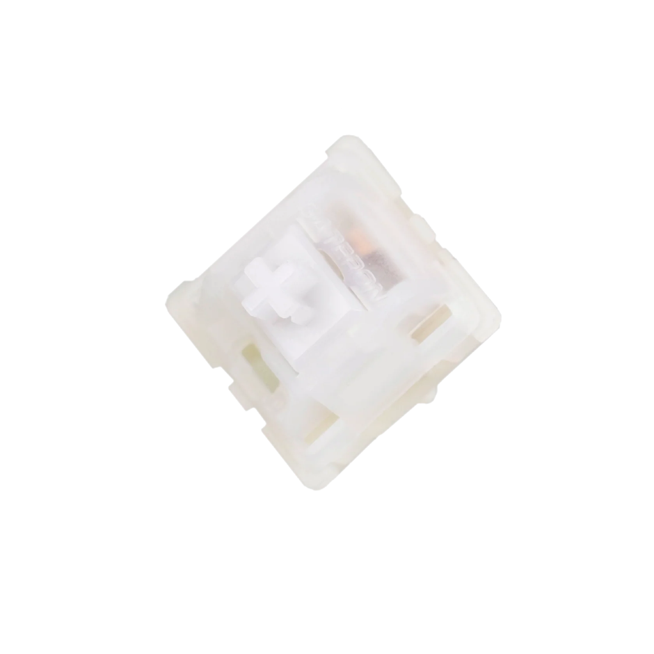 Raw switches – GEONWORKS