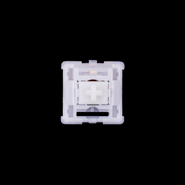 Raw switches – GEONWORKS